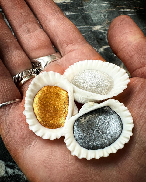 Metallic Seashell, Six Various Color Options, Limited Edition ...