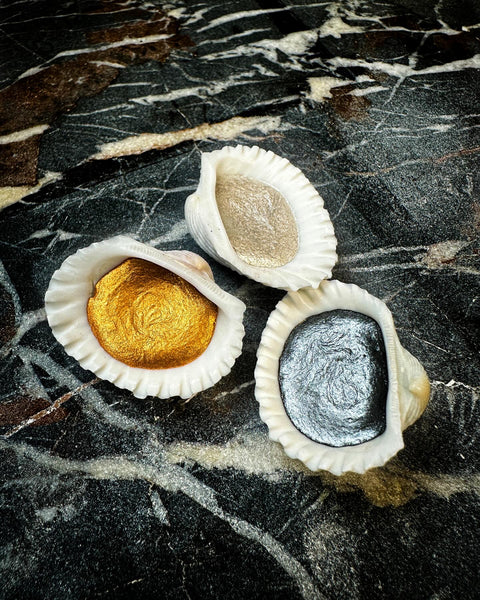Metallic Seashell, Six Various Color Options, Limited Edition ...