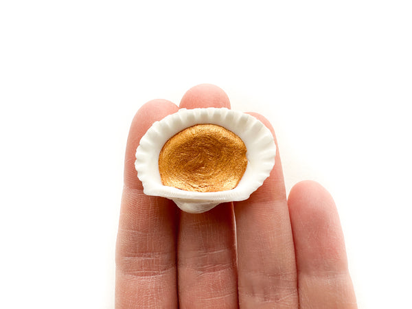 Metallic Seashell, Six Various Color Options, Limited Edition ...