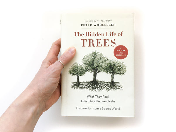 The Hidden Life of Trees by Peter Wohlleben – Greenleaf & Blueberry